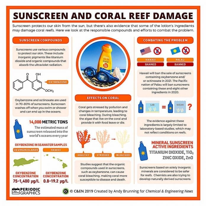 How does Sunscreen affect Coral Reefs on Koh Tao?