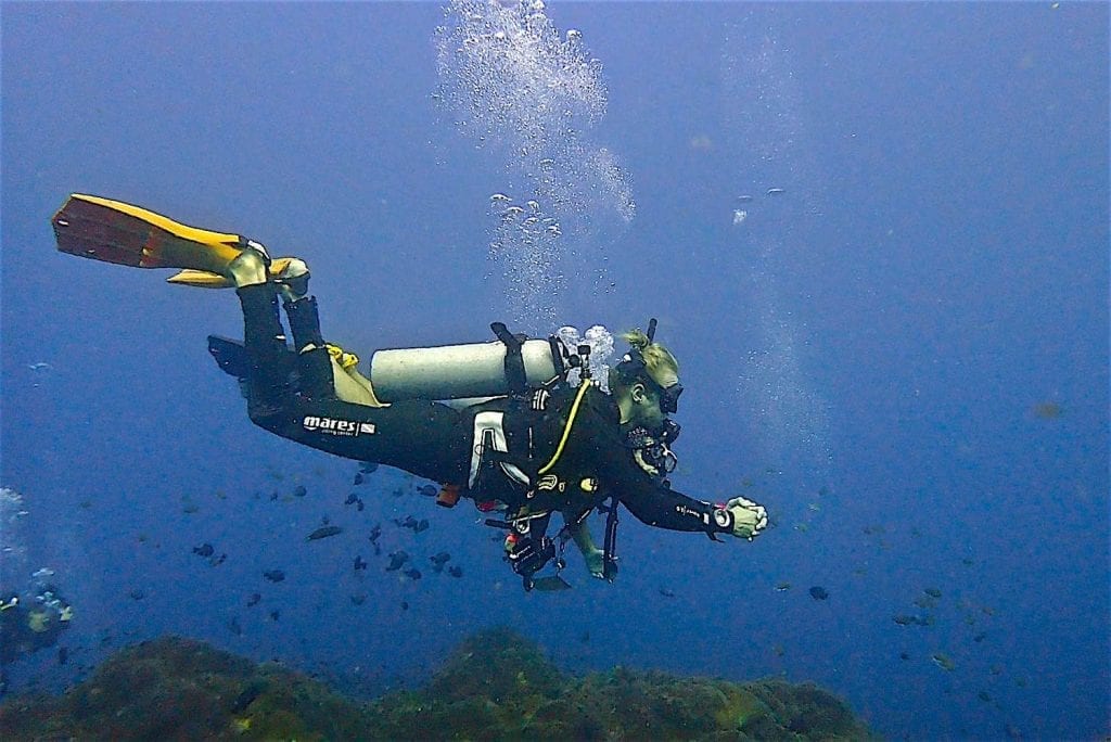 Curso Divemaster en Koh Tao | Funky Turtle