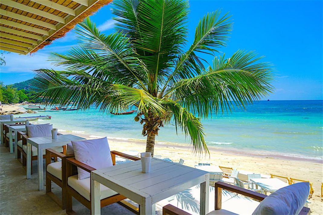 Whitening Restaurant & Bar Koh Tao | Funky Turtle