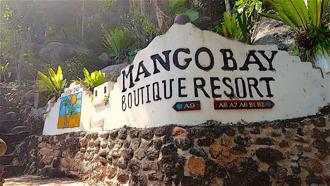 Mango Bay en la Costa Norte de Koh Tao | Funky Turtle